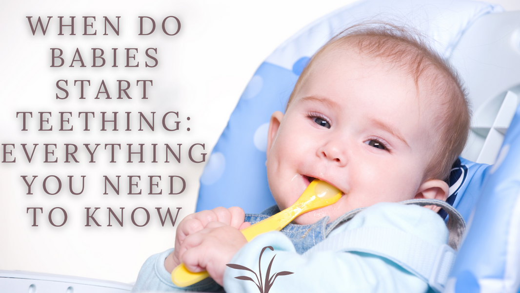 When Do Babies Start Teething: Everything You Need to Know – Carriage ...